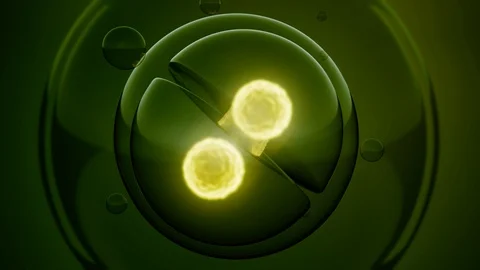 loop rotate cell division illustration | Stock Video | Pond5