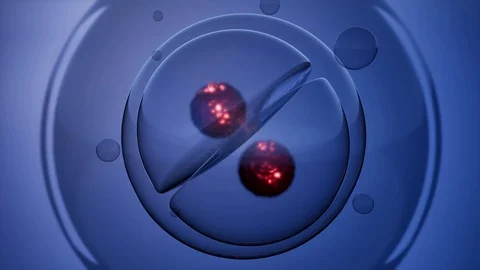 loop rotate cell division illustration | Stock Video | Pond5