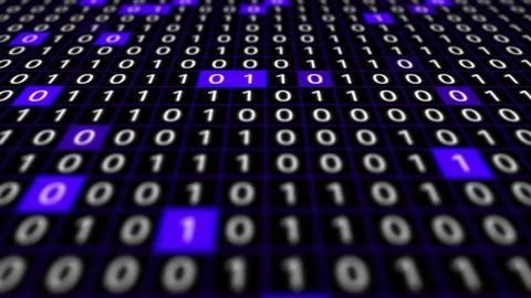 Animated Binary Numbers Stock Footage ~ Royalty Free Stock Videos | Pond5