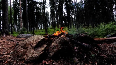 Loopable 4K campfire in Dark Forest - Cr... | Stock Video | Pond5