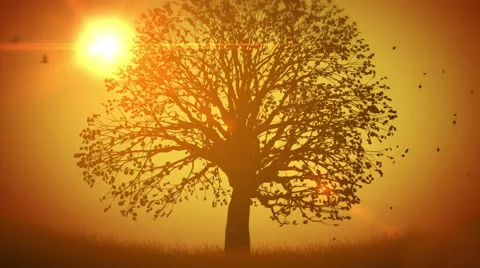 Loopable Animated Background Four Season... | Stock Video | Pond5