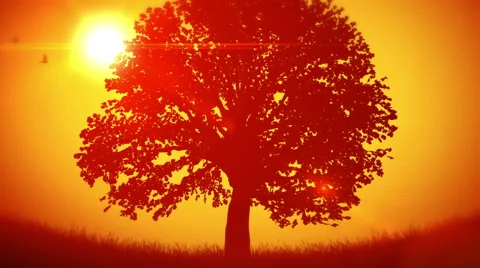 Loopable Animated Background Four Season... | Stock Video | Pond5