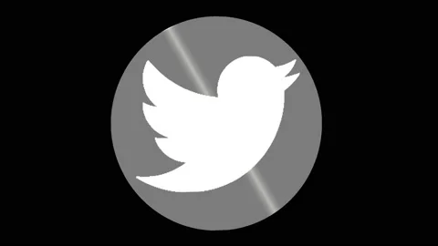 Loopable animated twitter logo rotating ... | Stock Video | Pond5