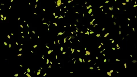 Loopable Leaves Animation on Black Backg... | Stock Video | Pond5