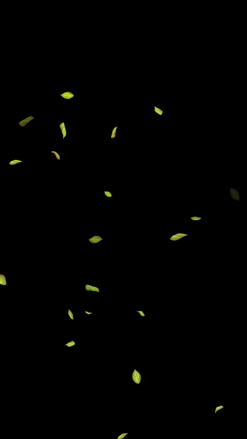 Loopable Leaves Animation on Black Backg... | Stock Video | Pond5