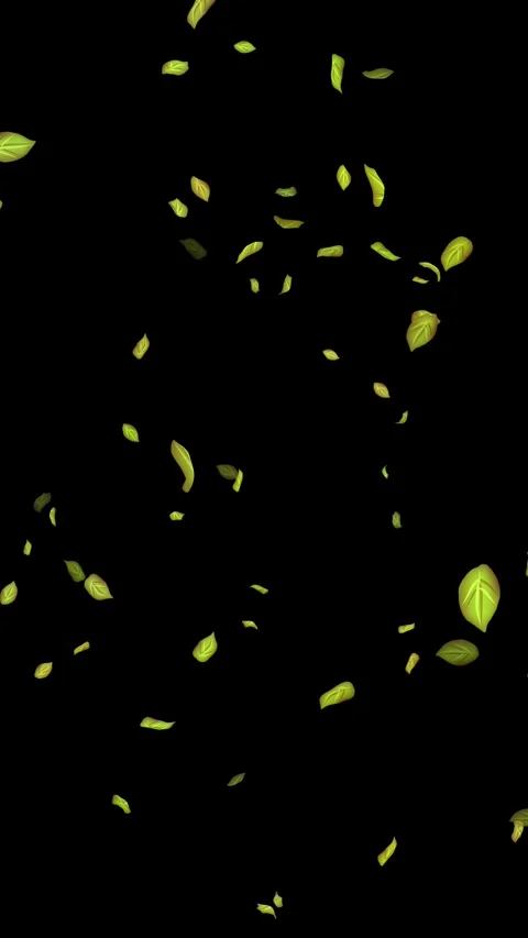 Loopable Leaves Animation on Black Backg... | Stock Video | Pond5