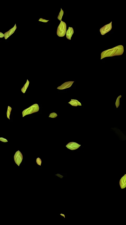 Loopable Leaves Animation on Black Backg... | Stock Video | Pond5