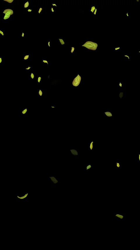 Loopable Leaves Animation on Black Backg... | Stock Video | Pond5