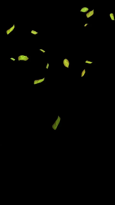 Loopable Leaves Animation on Black Backg... | Stock Video | Pond5