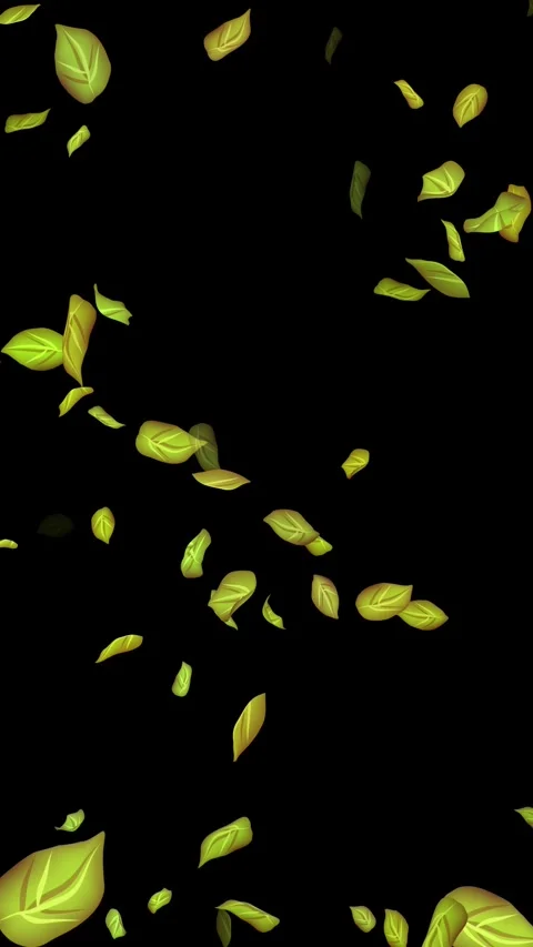 Loopable Leaves Animation on Black Backg... | Stock Video | Pond5