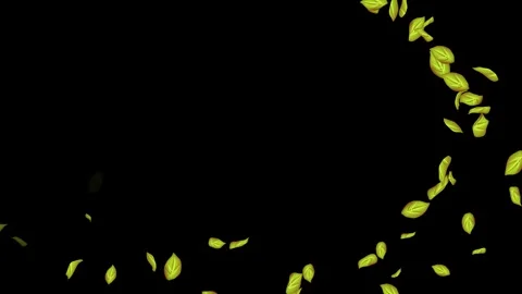 Loopable Leaves Animation on Black Backg... | Stock Video | Pond5