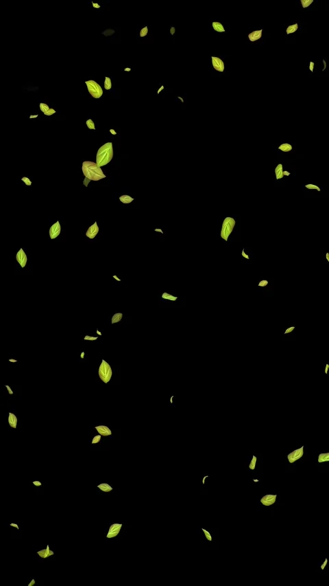 Loopable Leaves Animation on Black Backg... | Stock Video | Pond5