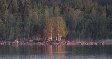 Nature Loop Stock Video Footage | Royalty Free Nature Loop Videos | Pond5