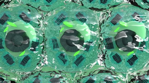 Looped 3D animation of plant cells in th... | Stock Video | Pond5