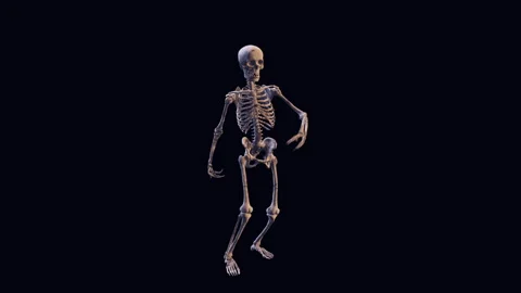 Looped animation of a dancing skeleton i... | Stock Video | Pond5