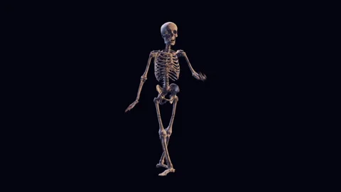 Looped animation of a dancing skeleton i... | Stock Video | Pond5