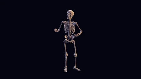 Looped animation of a skeleton isolated ... | Stock Video | Pond5