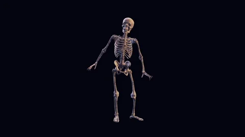 Looped animation of a skeleton isolated ... | Stock Video | Pond5