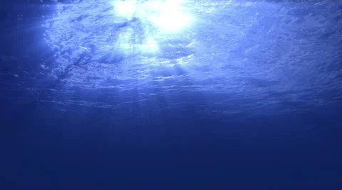 Underwater Surface Stock Footage ~ Royalty Free Stock Videos | Page 8