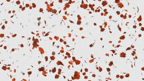 Animated Story Stock Footage ~ Royalty Free Stock Videos | Pond5