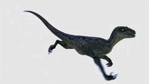Looped Realistic Raptor Dinosaur on a T... | Stock Video | Pond5
