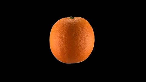 Orange Revolution Stock Videos – Royalty-Free HD & 4K Videos | Pond5