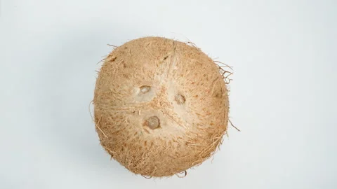 Looped video of a coconut rotating on a ... | Stock Video | Pond5