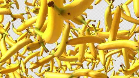 Video Of Harvesting Bananas Stock Video Footage | Royalty Free Video Of ...