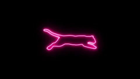 A looping animation of a neon outline ca... | Stock Video | Pond5