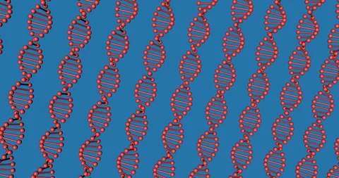 Looping animation of rotating DNA on blu... | Stock Video | Pond5