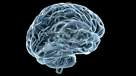 Looping Highly Detailed Brain X-Ray | Stock Video | Pond5