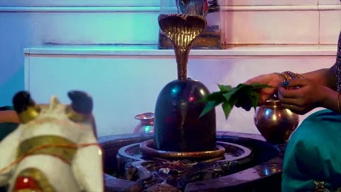 Lord Shiva - Rudrabhishek puja - Rudrabh... | Stock Video | Pond5