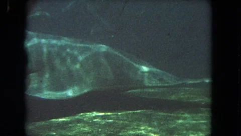 LOS ANGELES CALIFORNIA USA-1962: Sea Cre... | Stock Video | Pond5