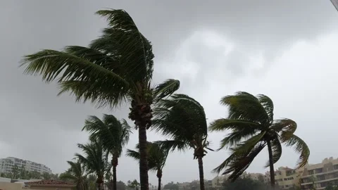 LOS CABOS MEXICO-2019: Windy Day For The... | Stock Video | Pond5