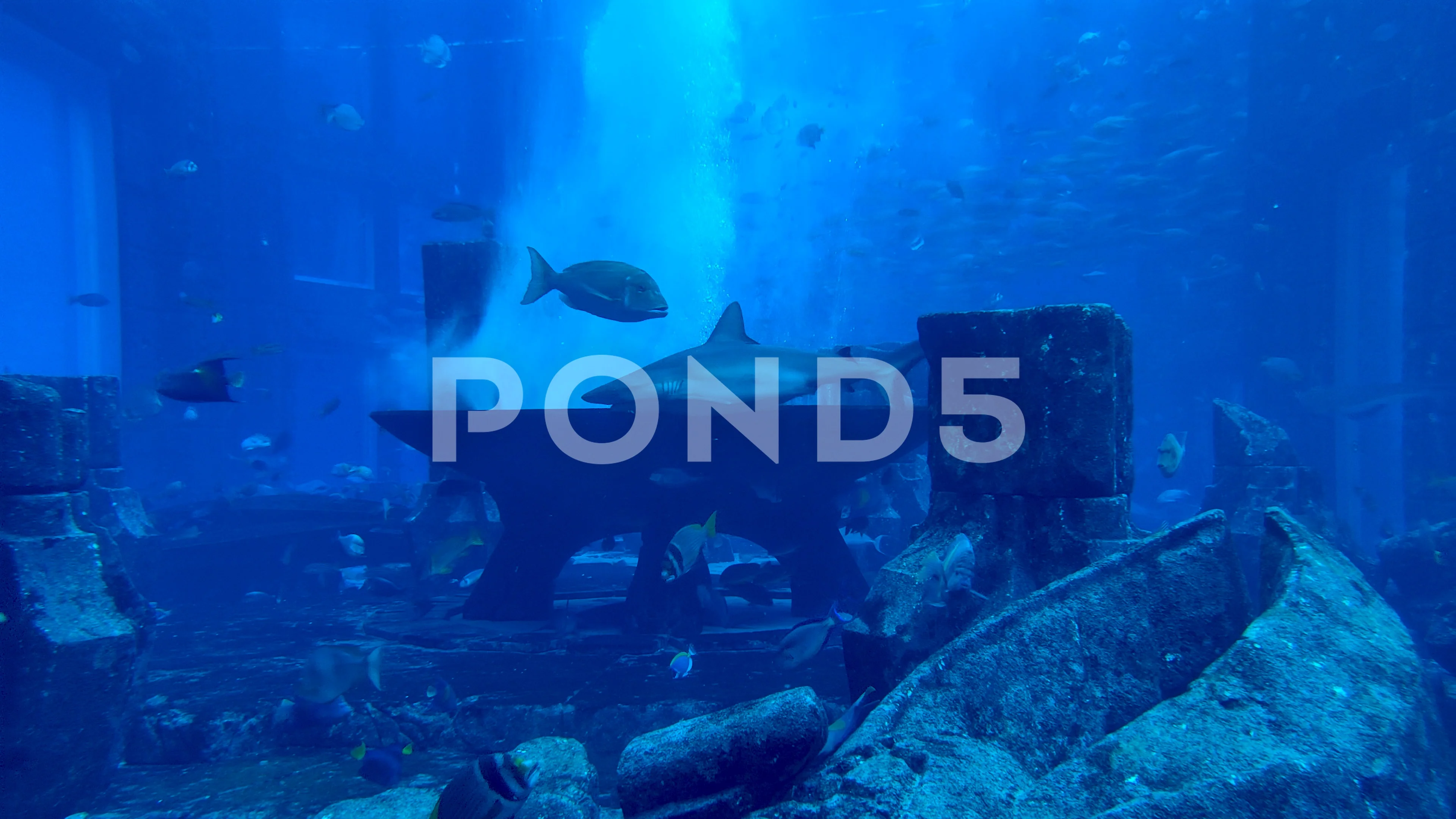 Atlantis Themed Fish Tank