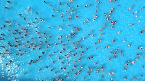 lot of people swimming in blue pool top ... | Stock Video | Pond5