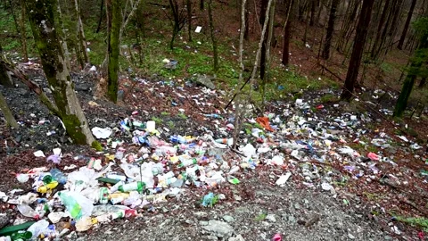 A lot of trash throwed in forest. Plasti... | Stock Video | Pond5