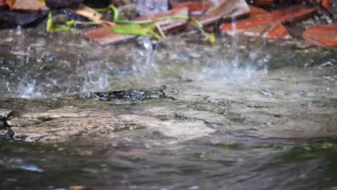 Lots Of Rain Stock Video Footage | Royalty Free Lots Of Rain Videos | Pond5