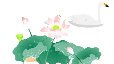 lotus flower background and 2d animation... | Stock Video | Pond5