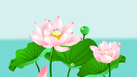 lotus flower background and 2d animation... | Stock Video | Pond5