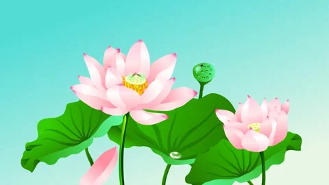 lotus flower background and 2d animation... | Stock Video | Pond5