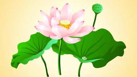 lotus flower background and 2d animation... | Stock Video | Pond5
