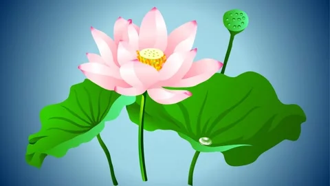 lotus flower background and 2d animation... | Stock Video | Pond5