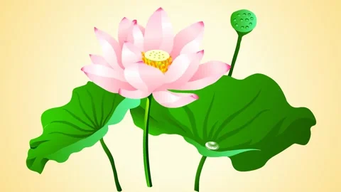 lotus flower background and 2d animation... | Stock Video | Pond5