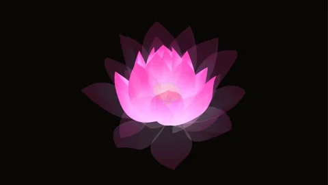 lotus flower opening background and 2d a... | Stock Video | Pond5