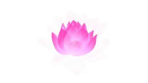 lotus flower opening background and 2d a... | Stock Video | Pond5