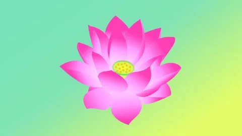 lotus flower opening background and 2d a... | Stock Video | Pond5