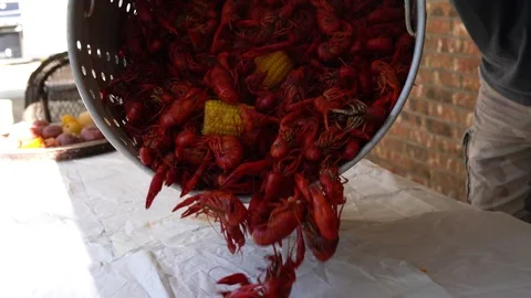 Stock Video Footage | Royalty Free Videos | Pond5