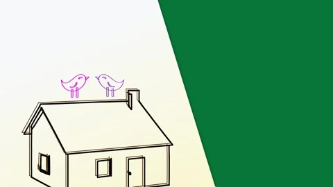 love birds, cartoon animation. Green scr... | Stock Video | Pond5