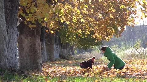 Fighting Boy Stock Videos – Royalty-Free HD & 4K Videos | Pond5